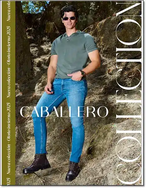 Catálogo BL Shoes Flexi Dama 2025: Zapatos Confortables • México ...